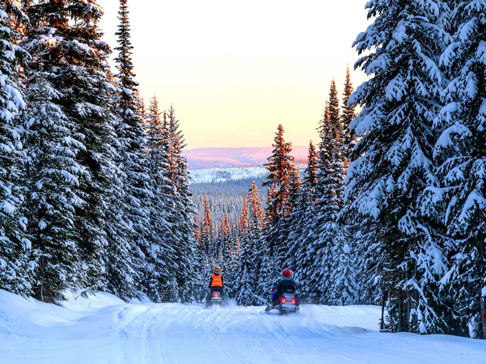 Snowmobile rides in Les Saisies - Les Volatiles
